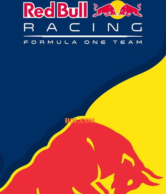 RED BULL RACING TEAM F1 METALEN WANDBORD - MUURPLAAT - VINTAGE - RETRO ...