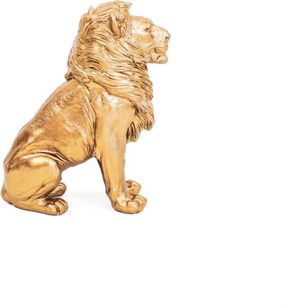 Housevitamin Gouden Leeuw | bol.com