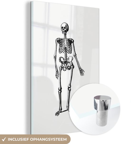 MuchoWow® Glasschilderij - Vintage - Skelet - Anatomie - 100x150 cm - Acrylglas... | bol.com