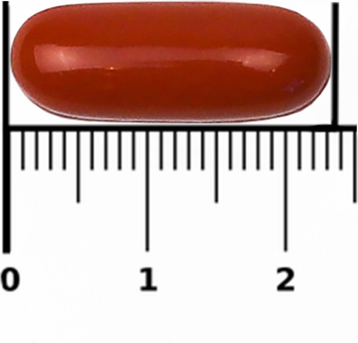 Bional Prostavit Forte - Supplement - Behoud normale prostaat en ...