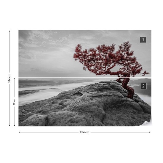 Fotobehang - Vlies Behang - Boom op de Rots - Bergen - Landschap - 254 ...