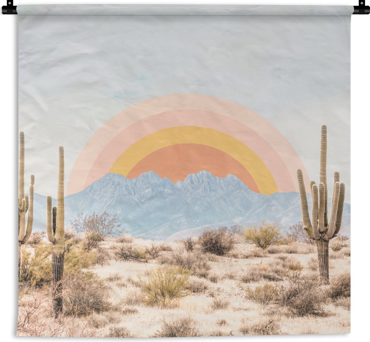 Cactussen - Planten - Natuur - Zon | bol.com