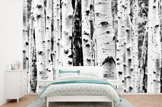Bomen - Hout - Zwart wit - Natuur - Behangpapier | bol
