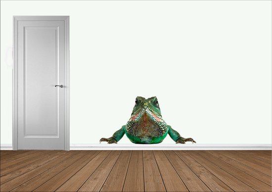 Kikker Muursticker XL | bol.com