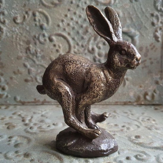 Rennende haas | bol.com