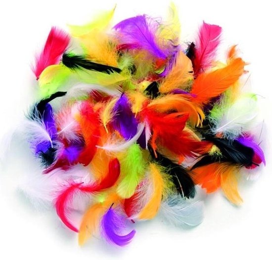 Mélange de couleurs de plumes décoratives de décoration de 20 grammes ...