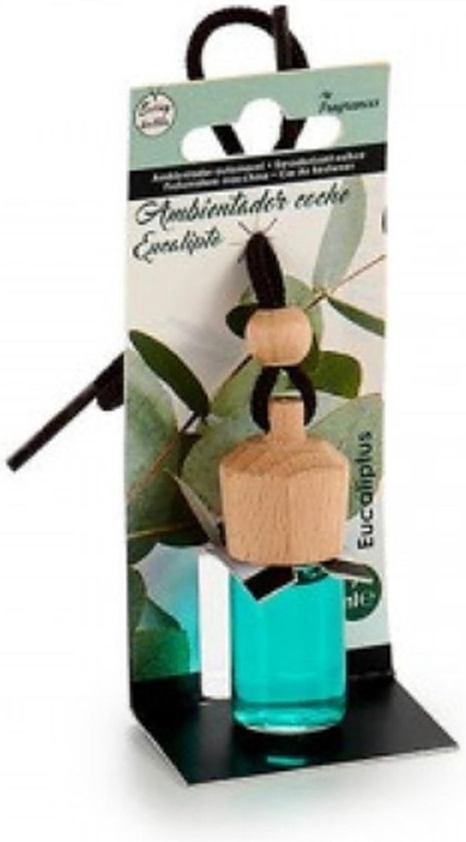 Eucalyptus Auto Parfum - Auto Luchtverfrisser Eucalyptus - Auto ...