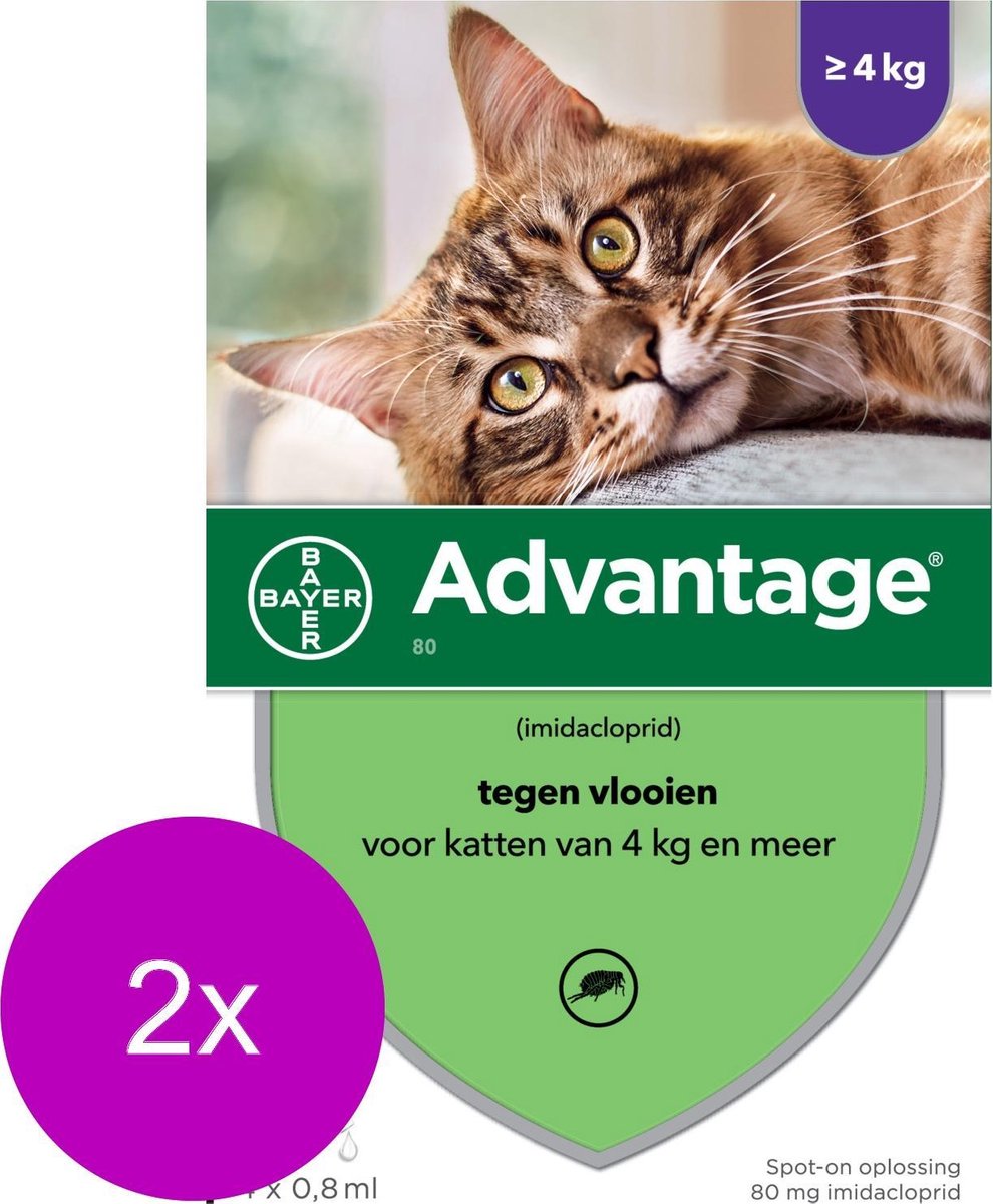 bol.com | Advantage 80 Kat 4 pip - Anti vlooienmiddel - 2 x 0.8 ml - > 4 Kg