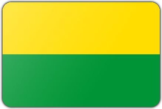 Vlag gemeente Den Haag - 70 x 100 cm - Polyester | bol.com