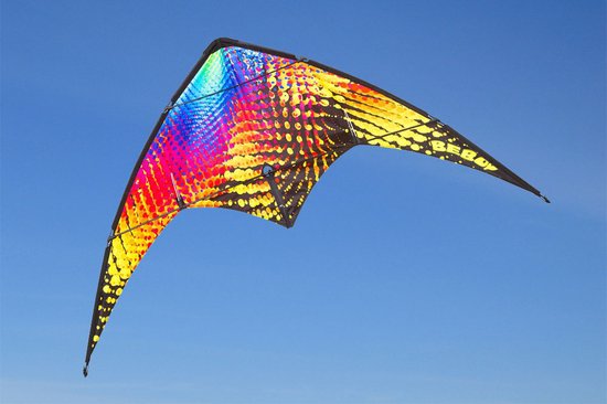 HQ Bebop Vibe delta vlieger incl. lijnen | bol.com