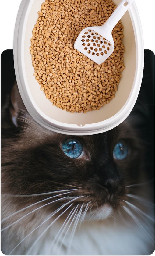 Kattenbakmat - Placemat kat - Kattenbak mat - Ragdoll kat met blauwe ... Kattenbakmat - Placemat kat - Kattenbak mat - Ragdoll kat met blauwe ...