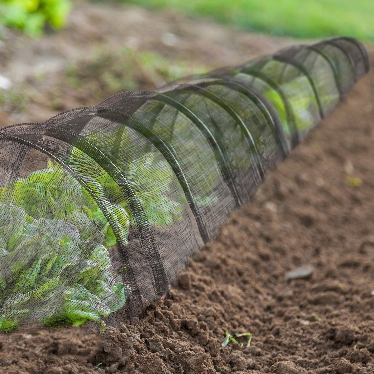 Relaxdays kweektunnel 7 m - tuintunnel met gaas - lage plantentunnel ...