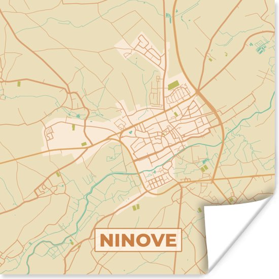 Poster Ninove - Kaart - België - Stadskaart - Plattegrond - 30x30 cm ...