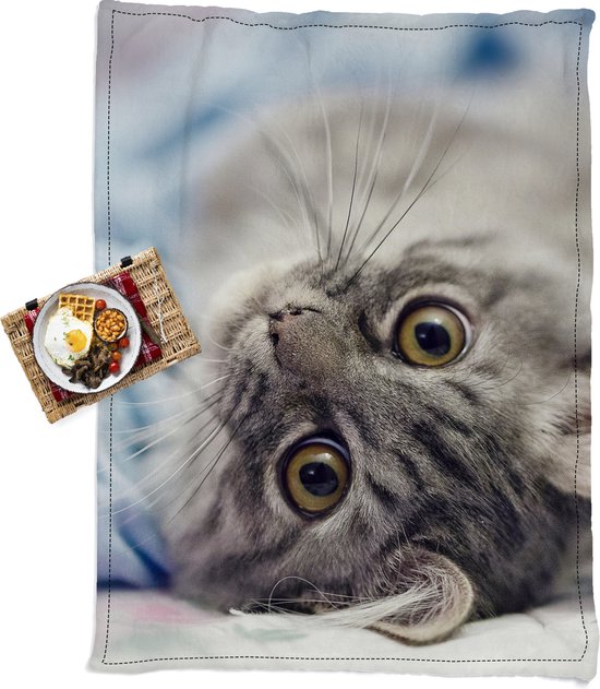 Waterdicht Picknickkleed - Geschikt als Strandlaken / Strandmat - Kat ...