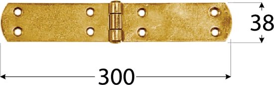 Franse stijl scharnier ZF 300x38x2,5 mm | bol