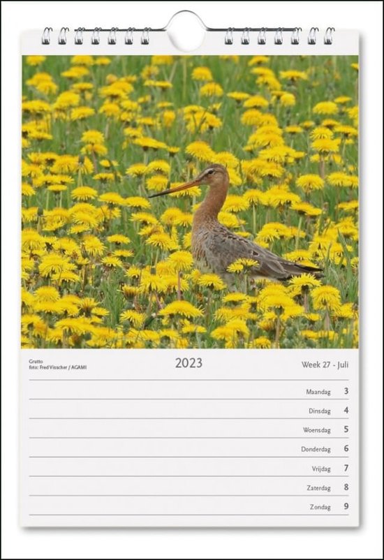 Bekking & Blitz - Weeknotitiekalender 2023 - Nederland Natuurland ...