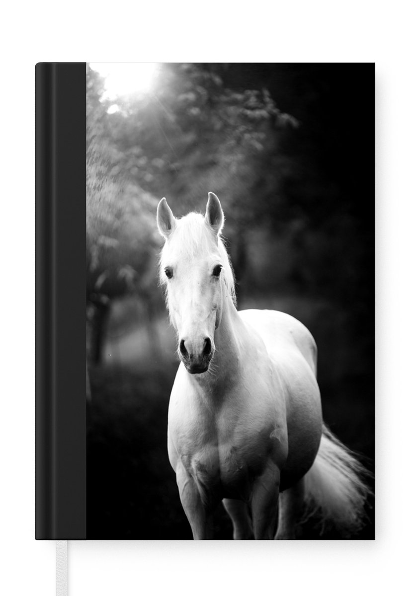 Cahier - Cahier d'écriture - un cheval blanc au coucher du soleil ...