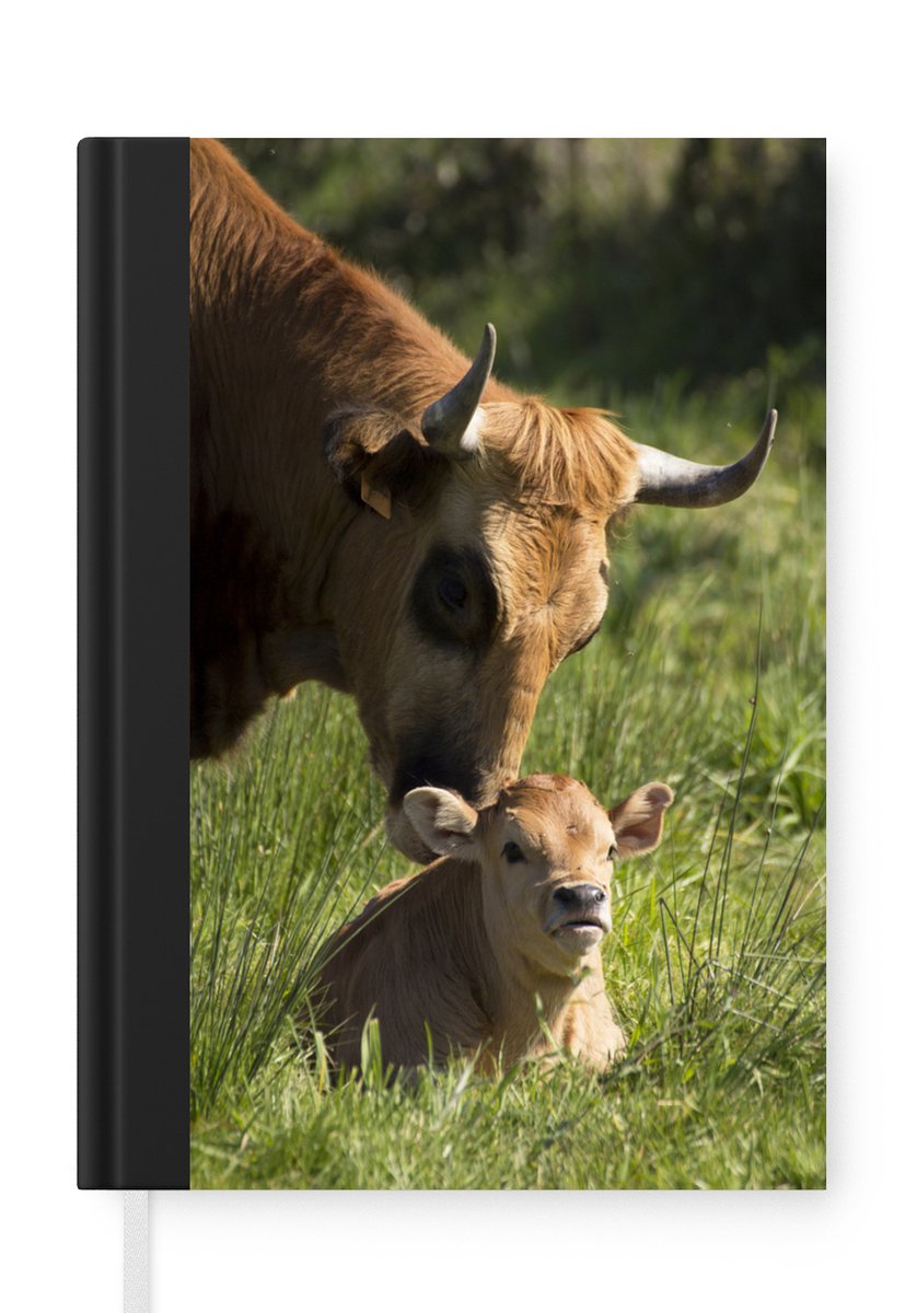 Carnet - Cahier d'écriture - Vache - Herbe - Corne - Veau - Carnet ...