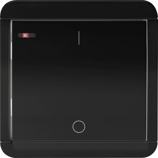 RS2W Renkforce Wandschakelaar Draadloos Opbouw (op muur) 1-kanaals ...