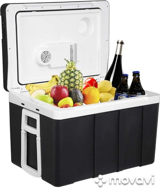 Frigobox 19L Elektrisch - Koelbox draagbare minikoelkast 19 liter A++ - MiniBar -... | bol.com