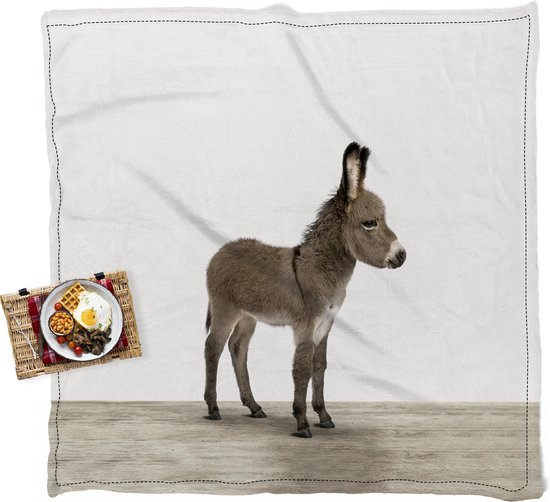 Waterdicht Picknickkleed - Geschikt als Strandlaken / Strandmat ...