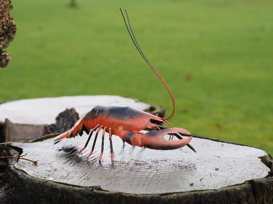 Kreeft in metaal 16 cm hoog - metal - art - beeld - kleurrijk ...