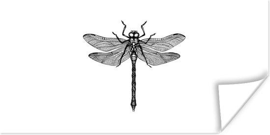 Poster Libelle - Insecten - Retro - Zwart wit - 120x60 cm | bol