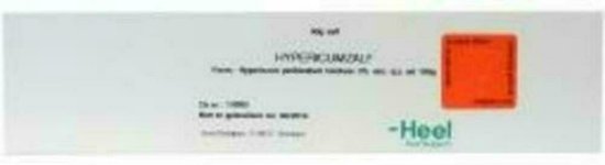 Homeoden Heel Hypericum zalf | bol