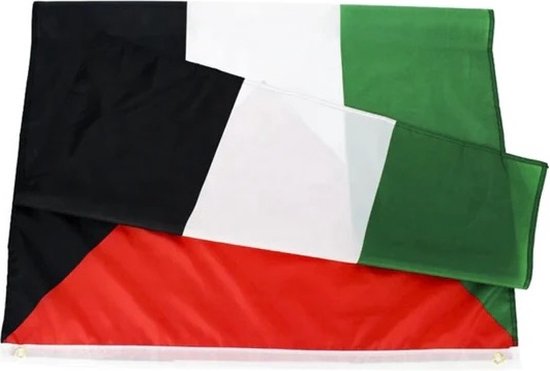 Palestijnse vlag - Palestina vlag - 90 x 150 cm - Free Palestina ...