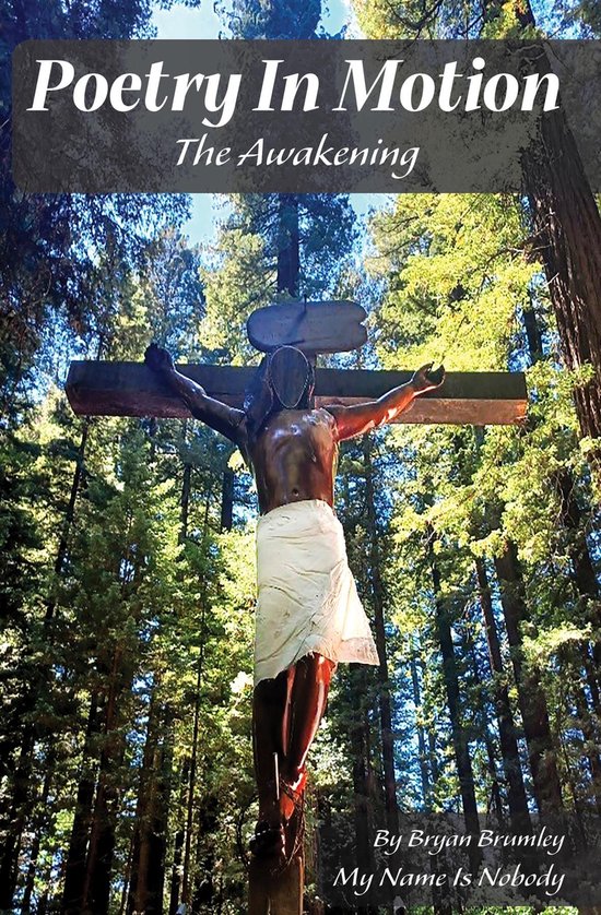 Poetry In Motion (ebook), Bryan Brumley | 9781737387879 | Boeken | bol