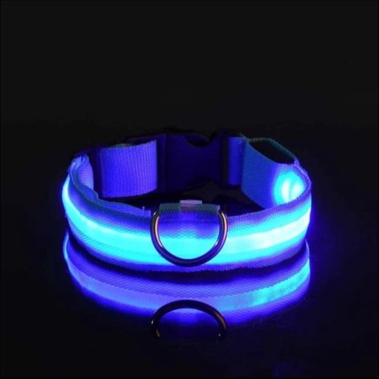 Halsband led verlichting - Blauw - Maat XL - Halsband hond led ...
