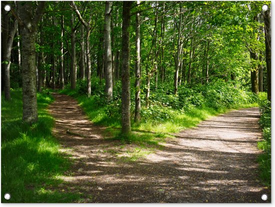Tuinschilderij Een kruispunt in het bos - 80x60 cm - Tuinposter ...