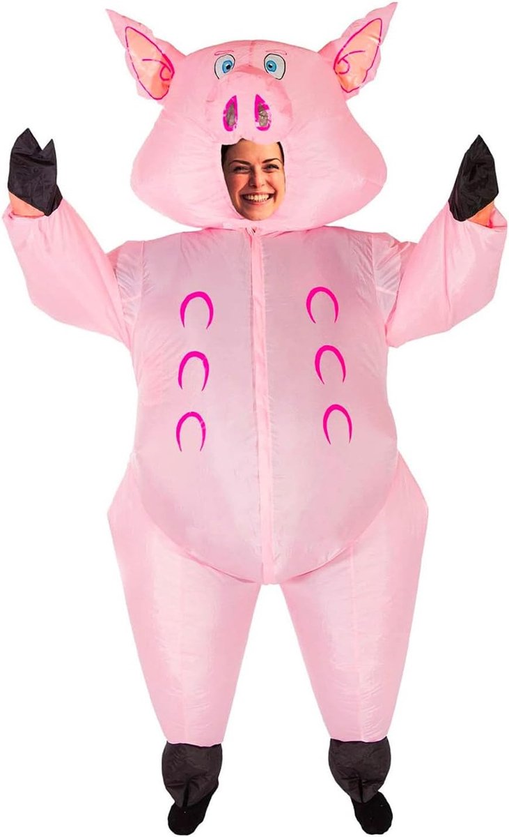 Carnaval Kostuum - Varken - Onesize - Opblaasbaar - Carnaval Pak ...