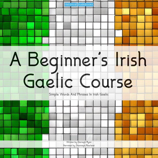 Beginner's Irish Gaelic Course, A, Darragh Ryan | 9781959507628 ...