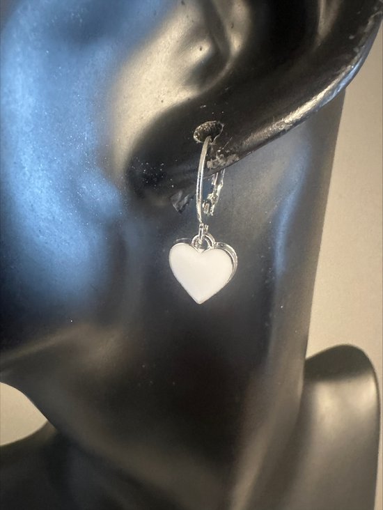 Zilverkleurige ringetjes met een wit hartje | bol