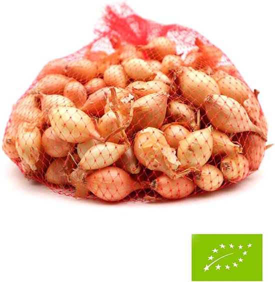 Plantui BIO Sturon - maat 10/22 - Biologische platronde ui die goed te ...