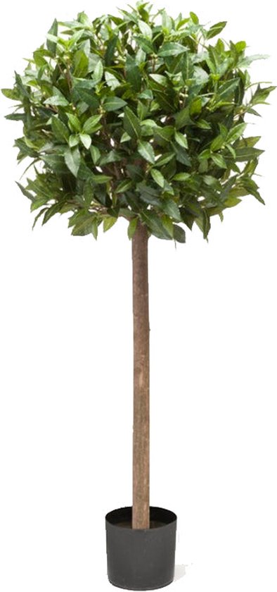 Kunstplant Laurel Ball 120 cm | bol