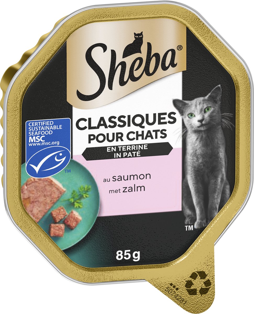 Sheba Classic Paté - Adult - Kattenvoer Natvoer - Zalm - kuipjes 22x85g ...