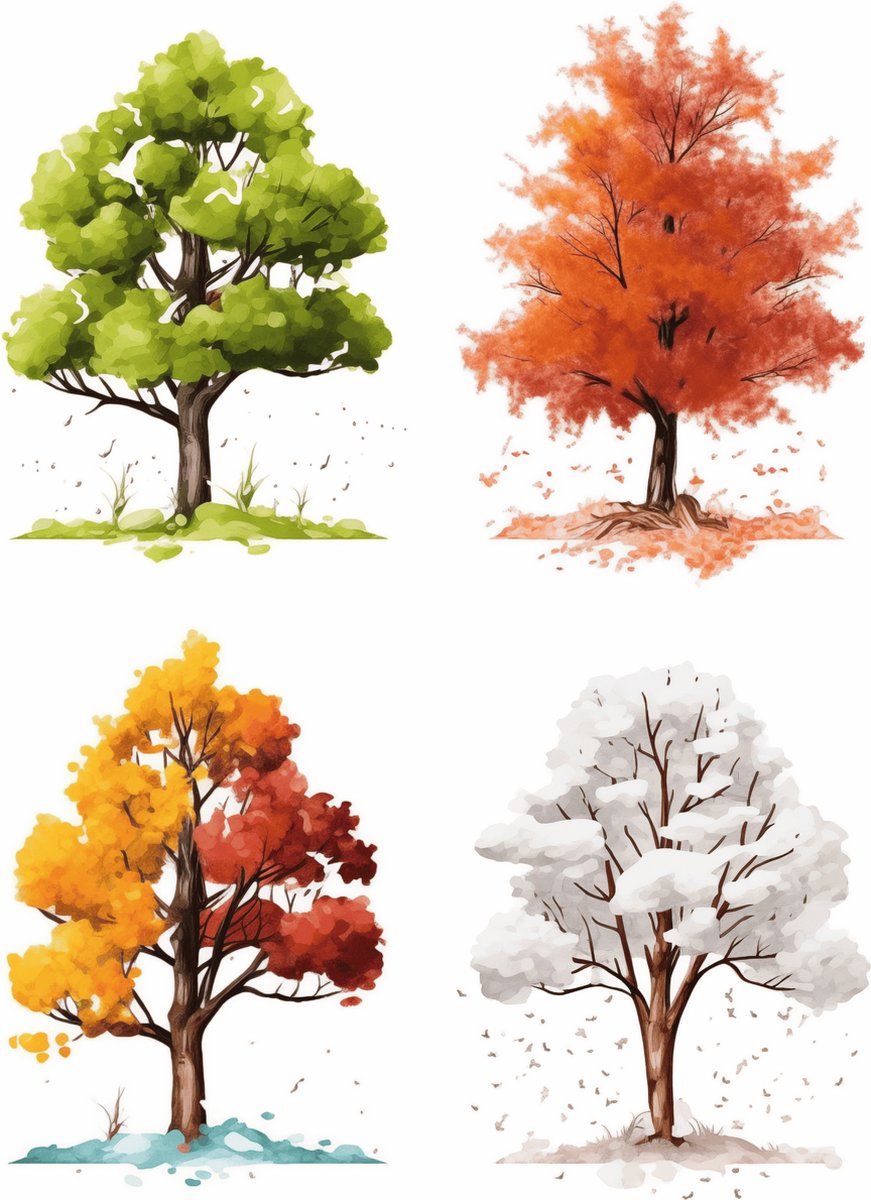 L'affiche des 4 saisons | Affiches Saisons | Aquarelle Affiche | Arbres ...