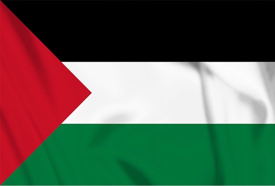 New Age Devi - Ontdek de krachtige Palestijnse Vlag - 90x150cm ...