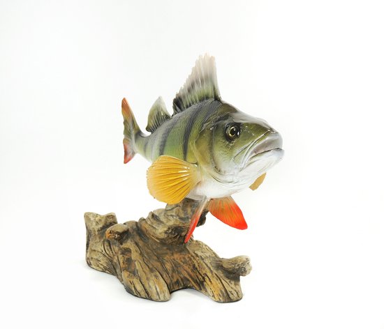 3D Real Fish Trophy Baars 28 cm Levensecht Beeld Baarsbeeld Trofee ...