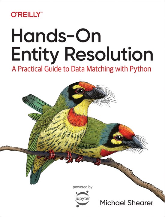 Hands-On Entity Resolution (ebook), Michael Shearer | 9781098148447 | Boeken | bol