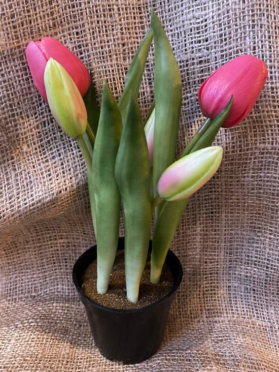 Kunstbloem in pot Tulp - Fuchsia - Real touch tulpen - 27 cm - Boeket - Kunstbloemen... | bol