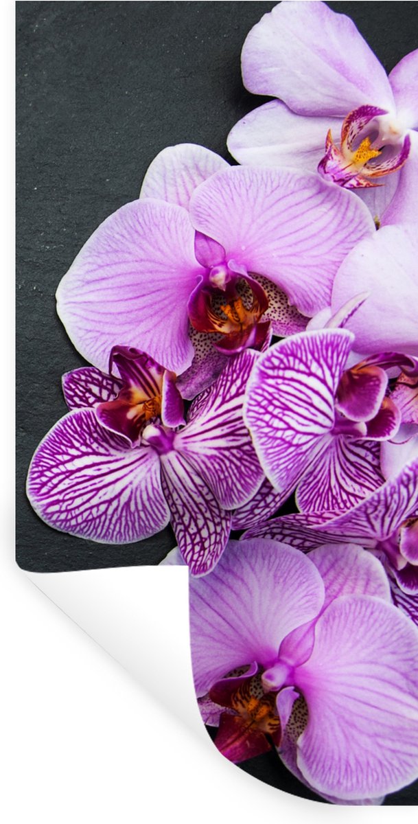 Muurstickers - Sticker Folie - Orchidee - Bloemen - Roze - Flora - 20x40 cm -... | bol