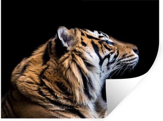 Muurstickers - Sticker Folie - Tijger - Dieren - Portret - 80x60 cm - Plakfolie -... | bol