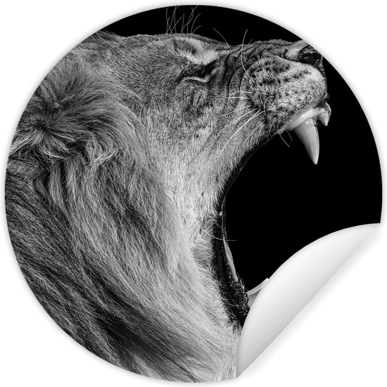 Behangcirkel - Dieren - Leeuw - Natuur - Zwart - Wit - Zelfklevend behang - ⌀ 30 cm -... | bol