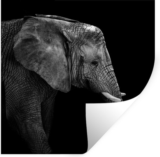 Muurstickers - Sticker Folie - Olifant - Zwart wit - Portret - Dieren - 120x120 cm -... | bol