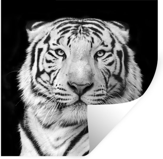 Muurstickers - Sticker Folie - Tijger - Zwart - Wit - Portret - Dieren - 120x120 cm -... | bol