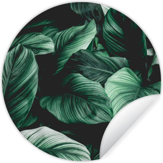 WallCircle - Muurstickers - Behangcirkel - Jungle - Bladeren - Tropisch - Planten -... | bol