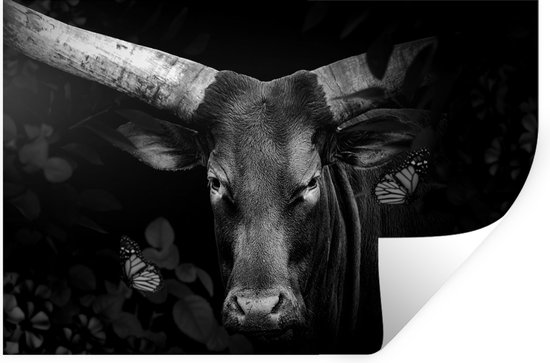 Muurstickers - Sticker Folie - Close-up van een watussi rund in de jungle - zwart wit... | bol